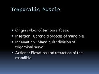 Temporal and infratemporal fossa | PPTX
