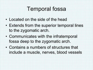 Temporal_and_infratemporal_fossa.ppt