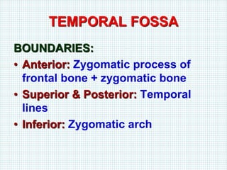 Temporal_and_infratemporal_fossa.ppt