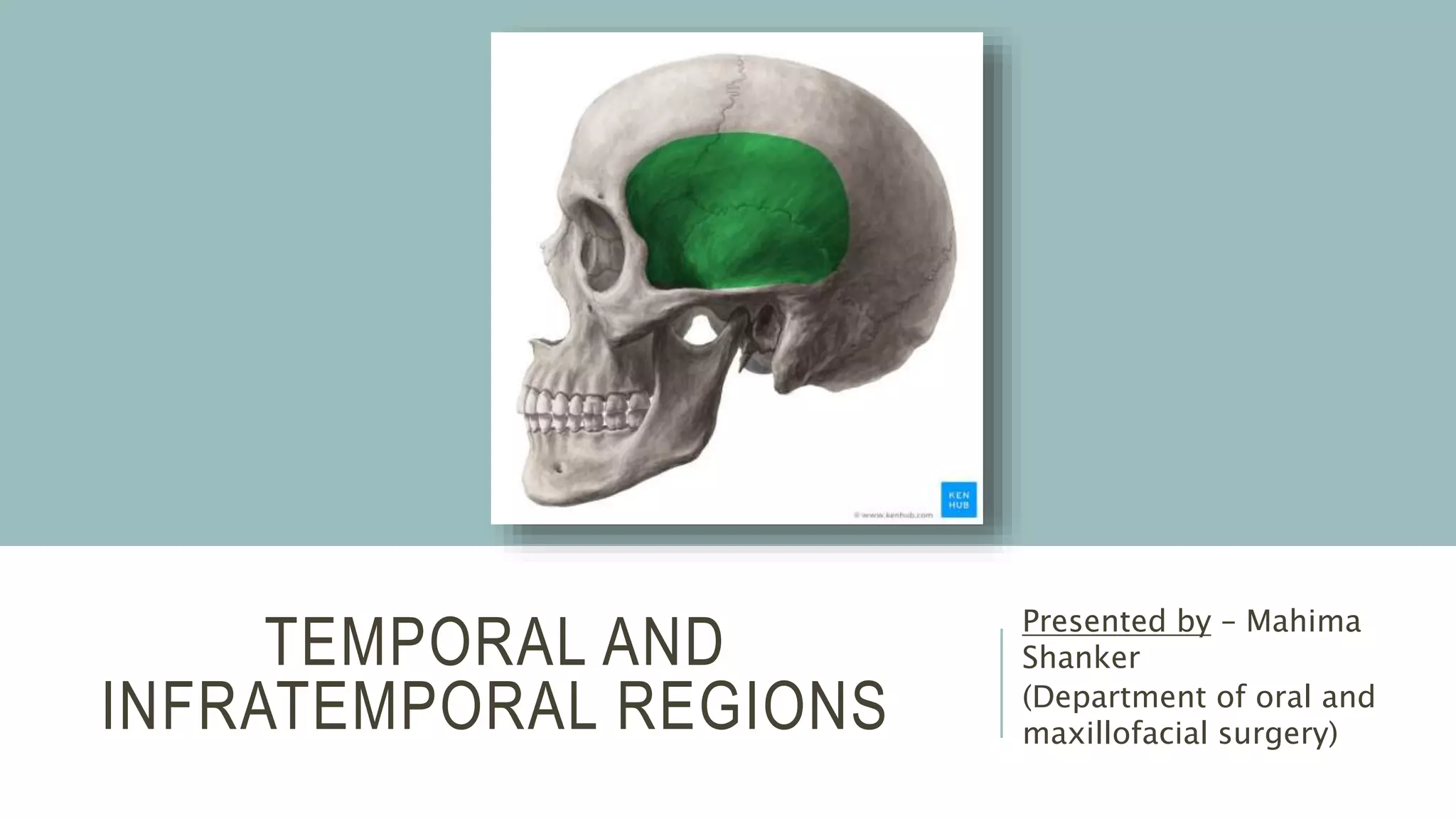Temporal and infratemporal regions | PPTX