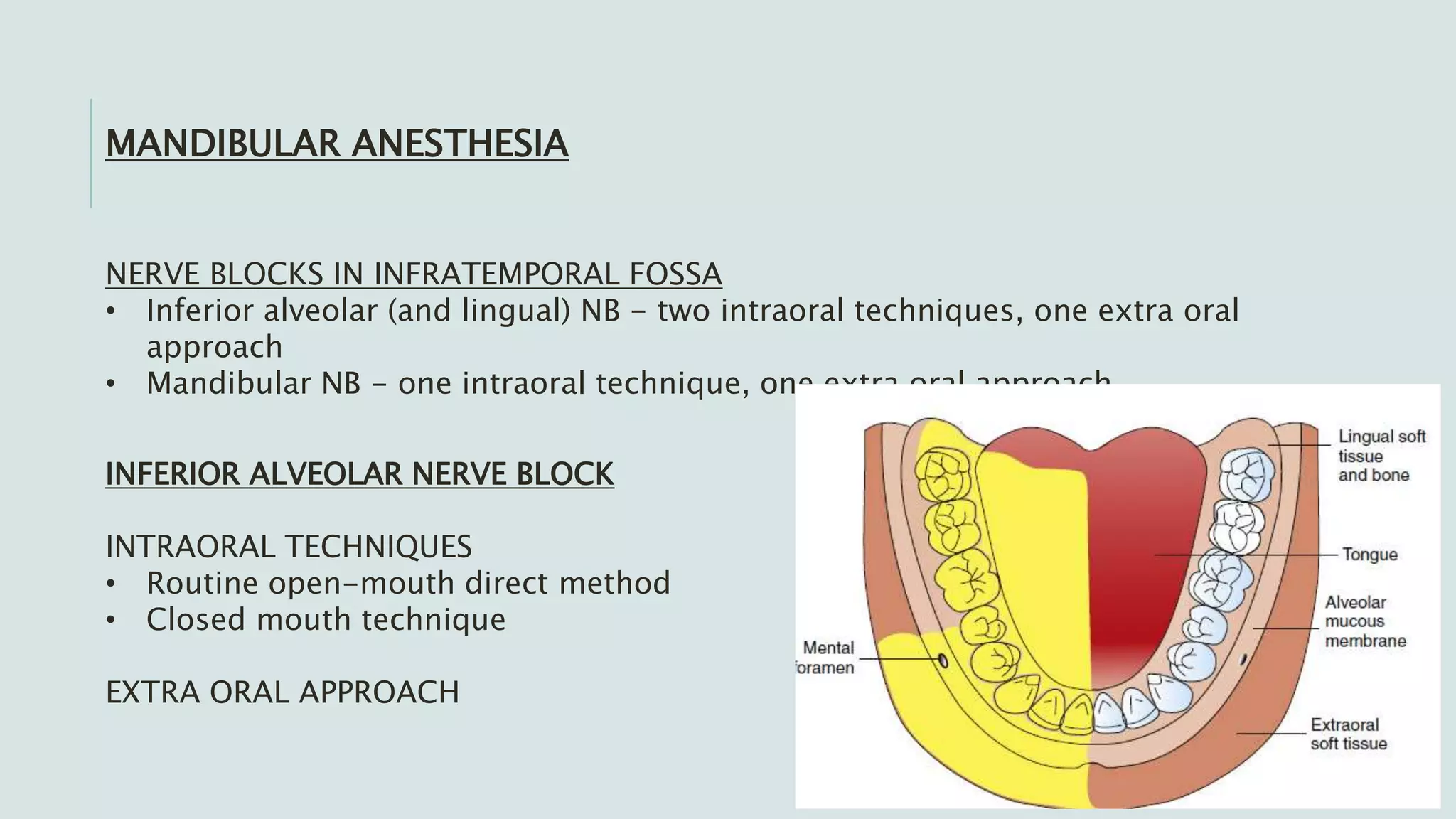 Temporal and infratemporal regions | PPTX