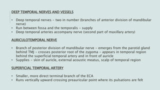 Temporal and infratemporal regions | PPTX