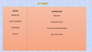 TEMPORAL AND INFRATEMPORAL REGIONS .pptx