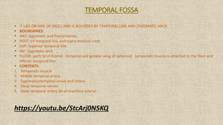 TEMPORAL AND INFRATEMPORAL REGIONS .pptx