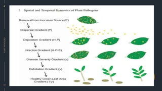 TEMPORAL AND SPATIAL VARIABILITY IN PLANT PATHOENS.pptx