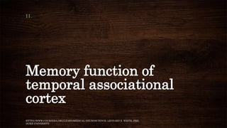 Temporal associational cortex | PPSX