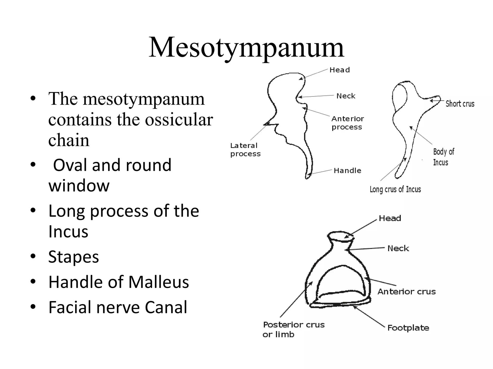Temporal bone radiology | PPTX