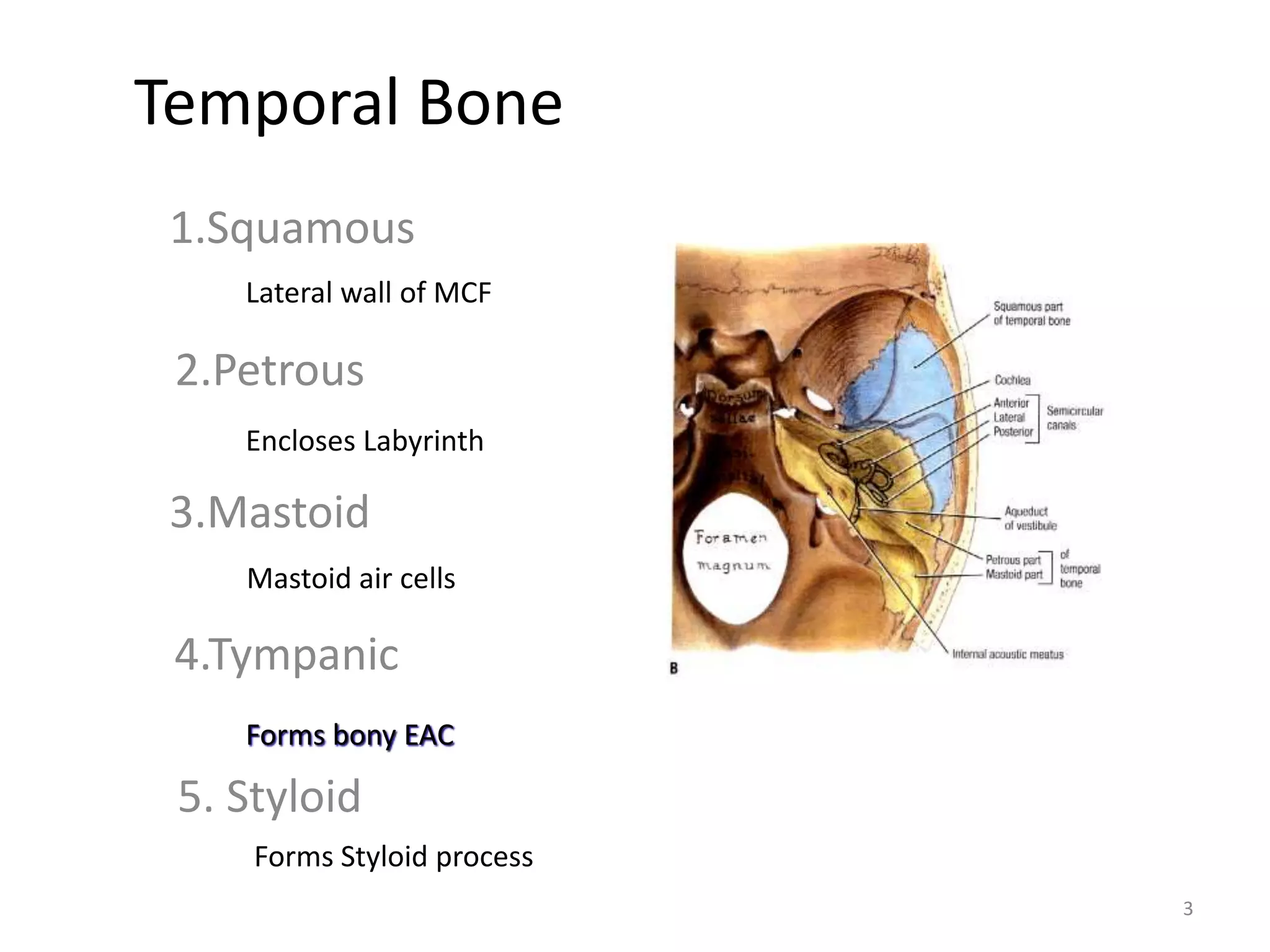 Temporal bone radiology | PPTX