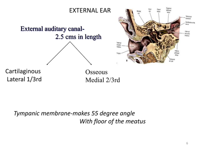 Temporal bone radiology | PPTX | Ear, Nose and Throat Conditions ...