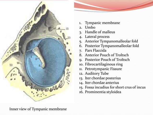 IMAGING OF TEMPORAL BONE | PPTX