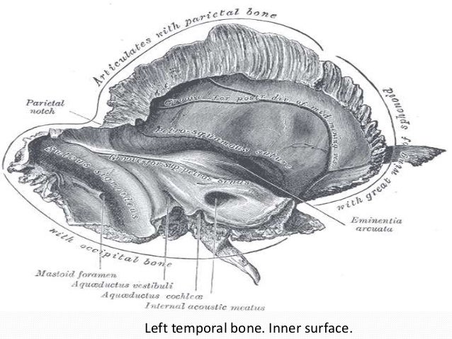 IMAGING OF TEMPORAL BONE