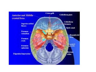 Temporal Bone and Facial Nerve Anatomy | PPTX
