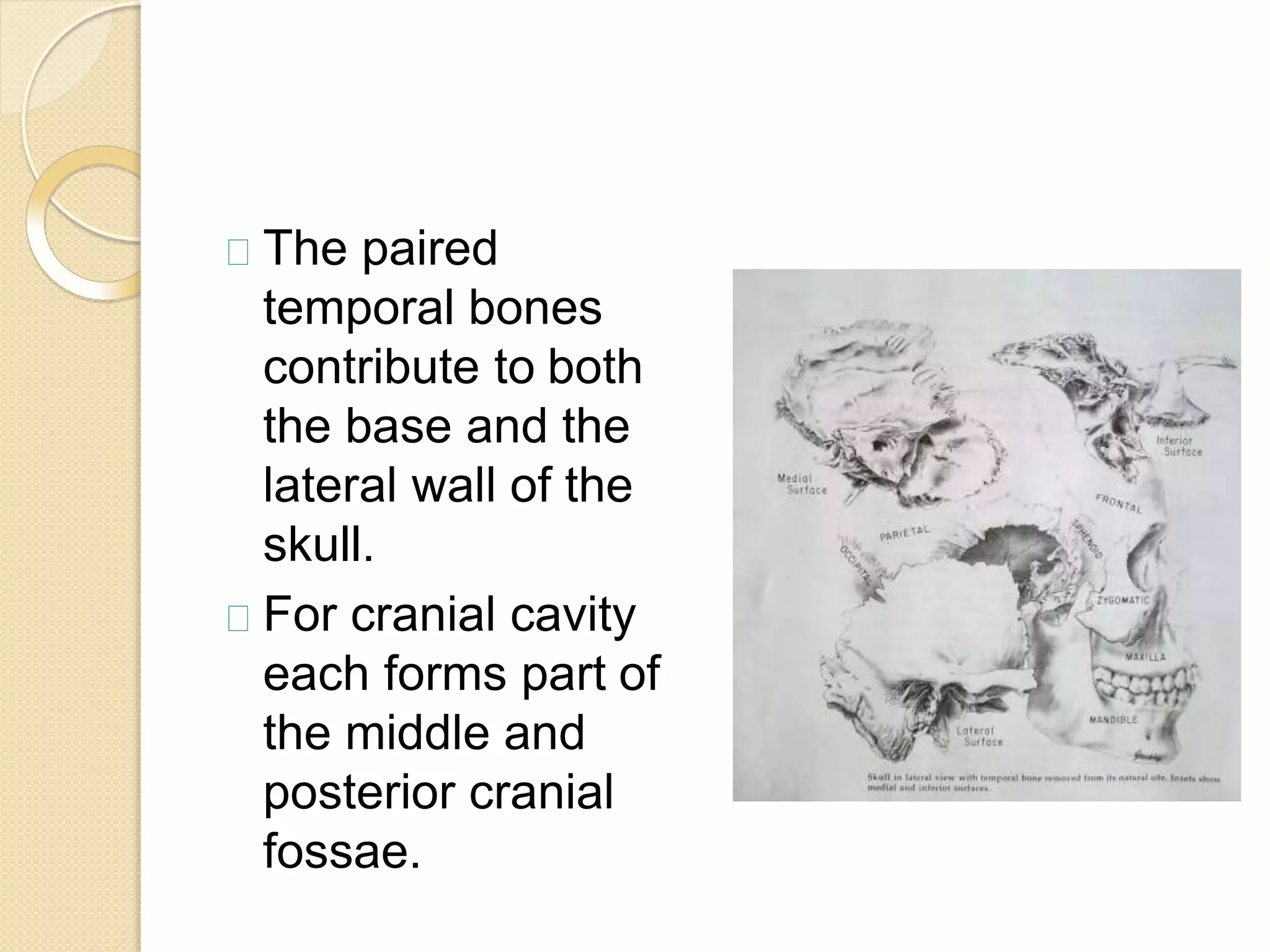 TEMPORAL BONE.pptx