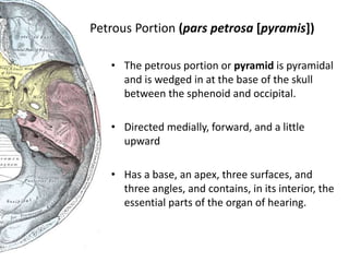 Temporal Bone Petrous Portion