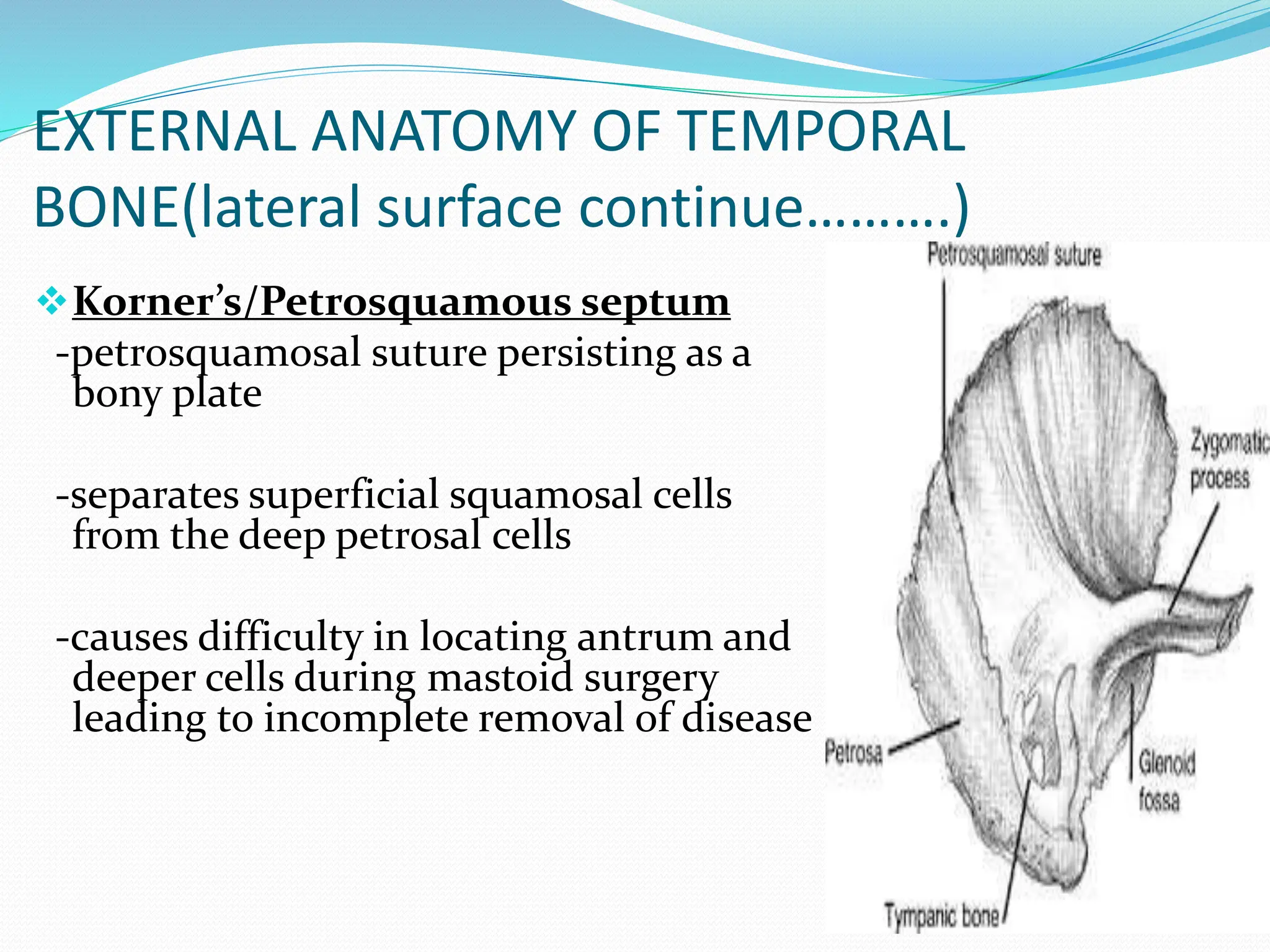 Temporal bone anatomy and surgical significancepptx | PPTX | Death ...