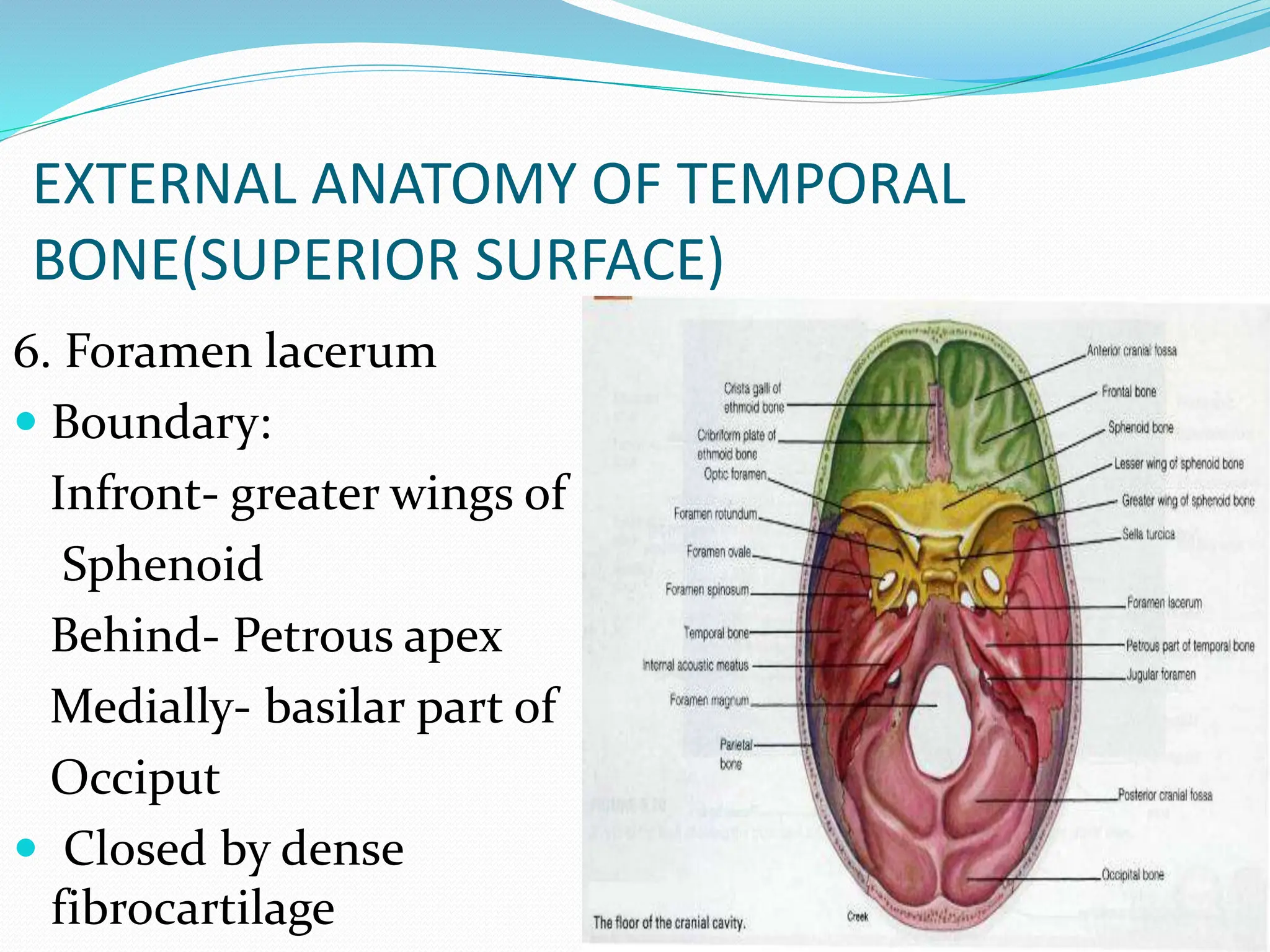 Temporal bone anatomy and surgical significancepptx | PPTX