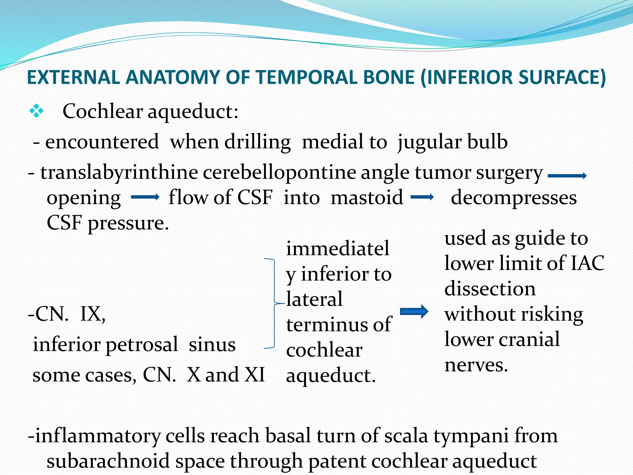Temporal bone anatomy and surgical significancepptx | PPTX