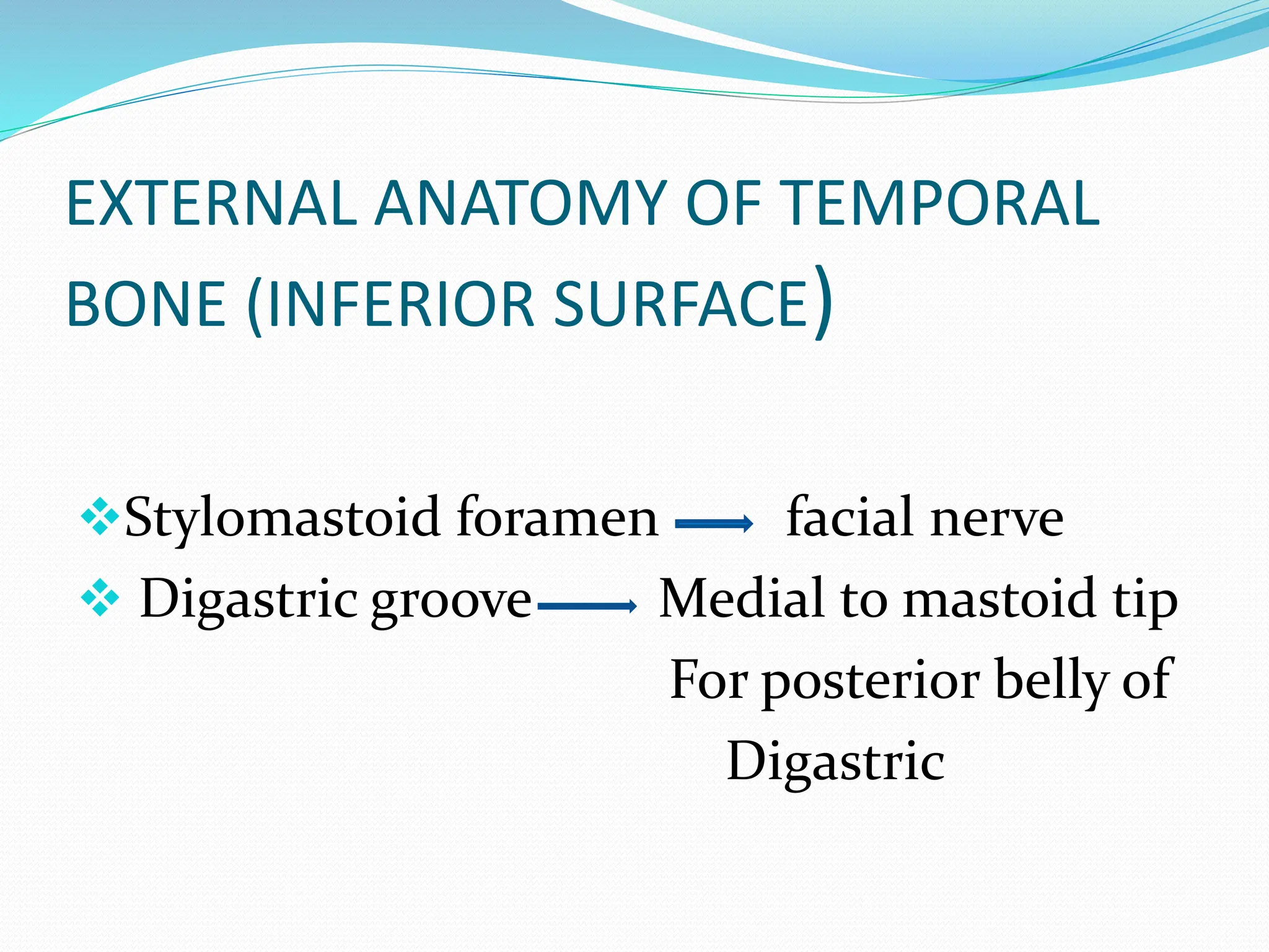 Temporal bone anatomy and surgical significancepptx | PPTX
