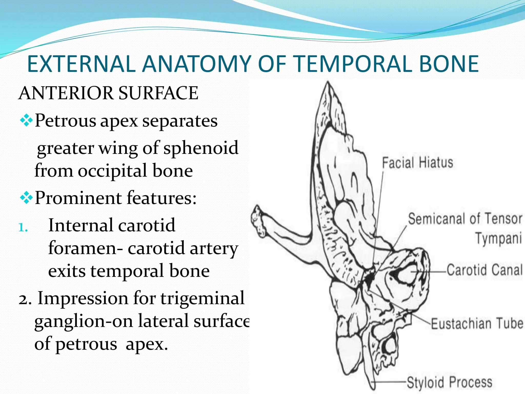 Temporal bone anatomy and surgical significancepptx | PPTX