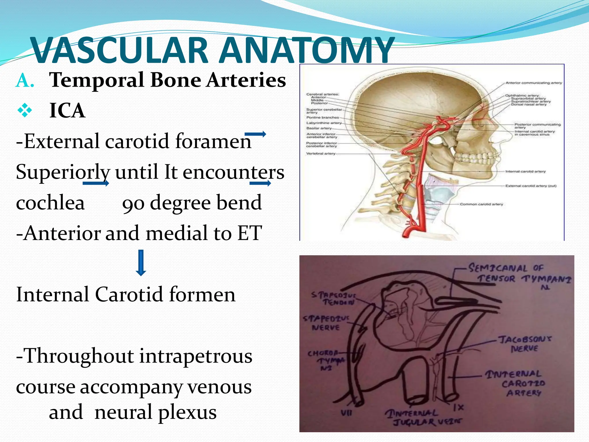 Temporal bone anatomy and surgical significancepptx | PPTX