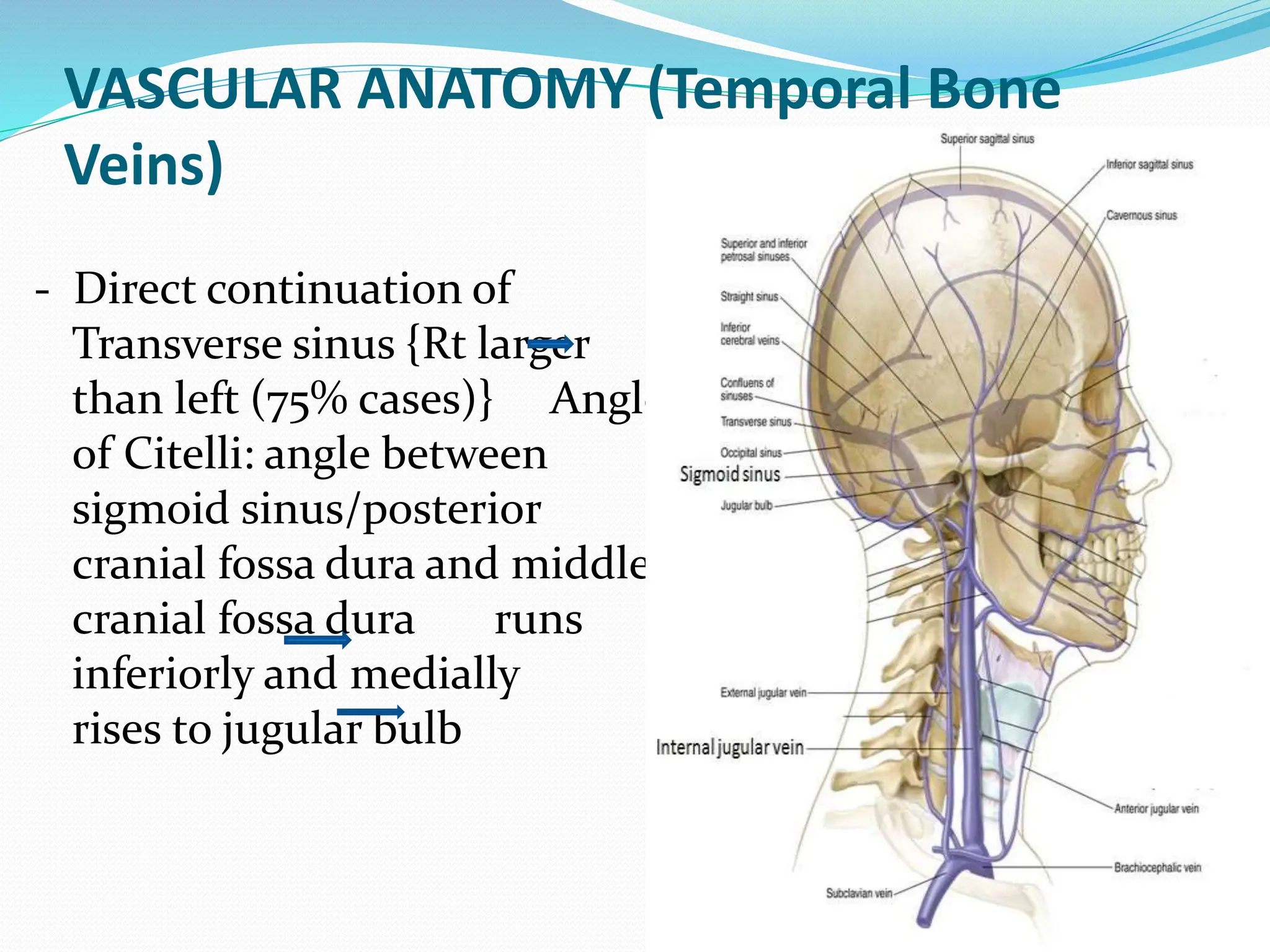 Temporal bone anatomy and surgical significancepptx | PPTX