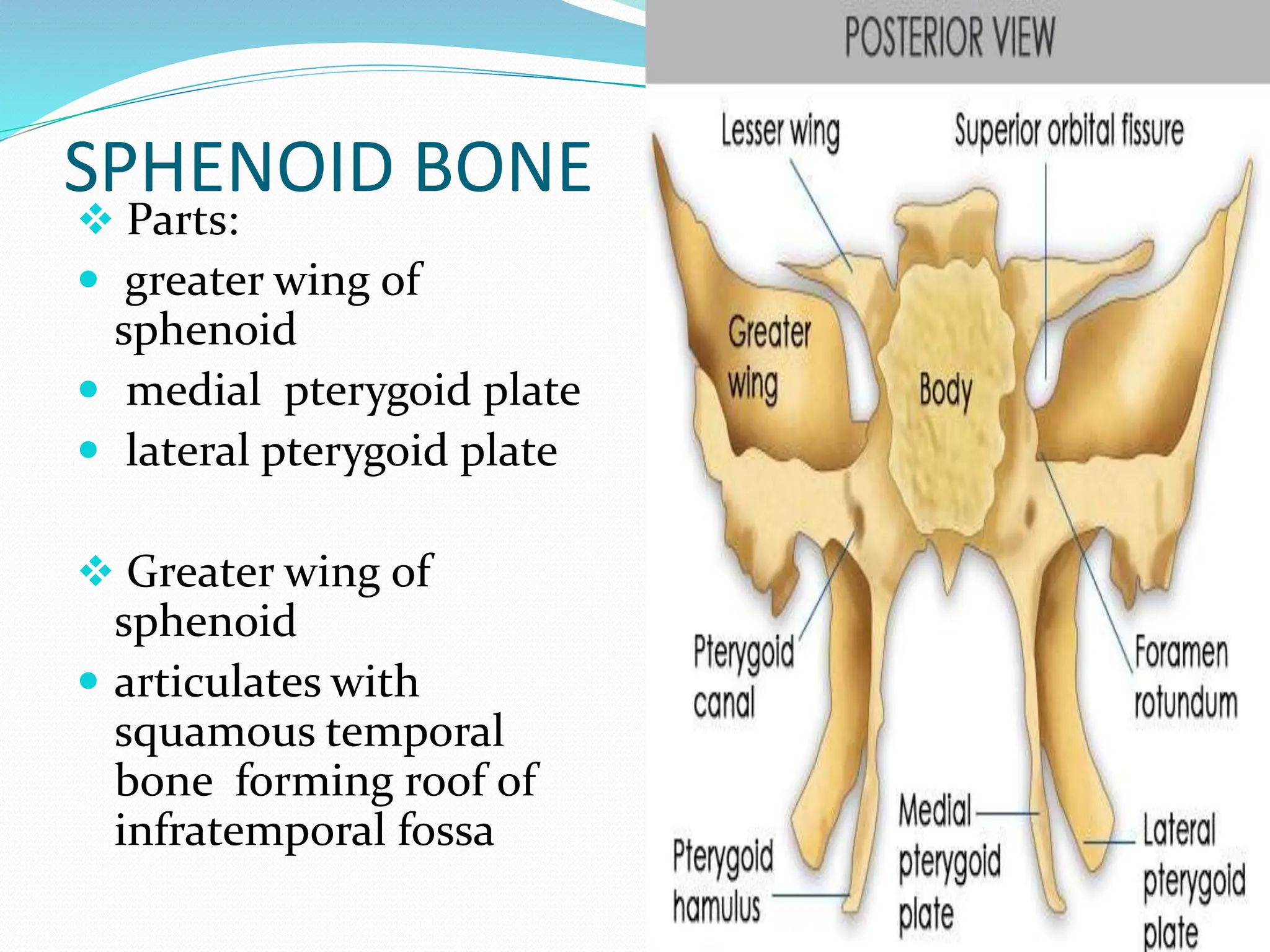 Temporal bone anatomy and surgical significancepptx | PPTX