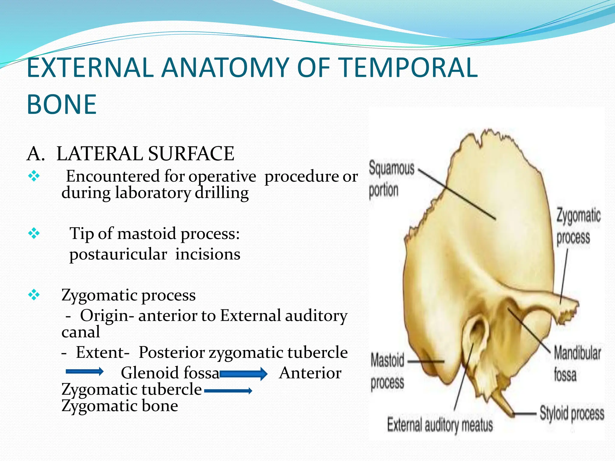 Temporal bone anatomy and surgical significancepptx | PPTX