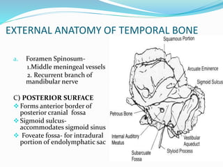 Temporal bone anatomy and surgical significancepptx | PPTX