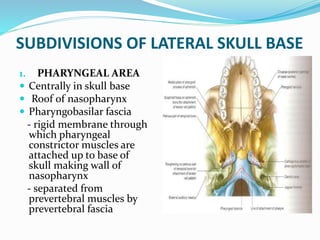 Temporal bone anatomy and surgical significancepptx | PPTX
