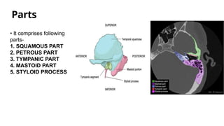 HRCT Temporal Bone Anatomy and Imaging Radiology | PPTX