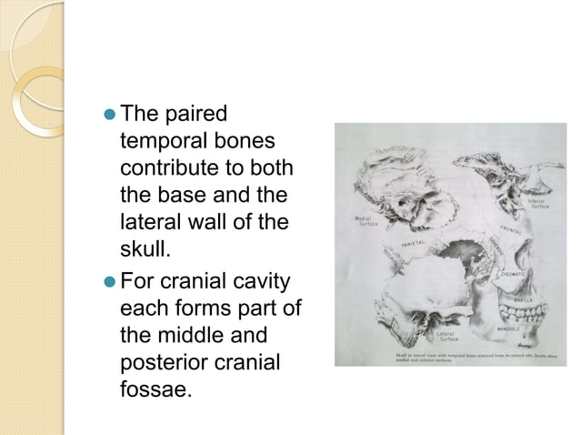 Temporal Bone anatomy ppt.pptx