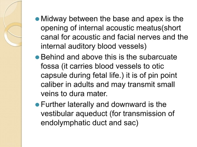 Temporal Bone anatomy ppt.pptx