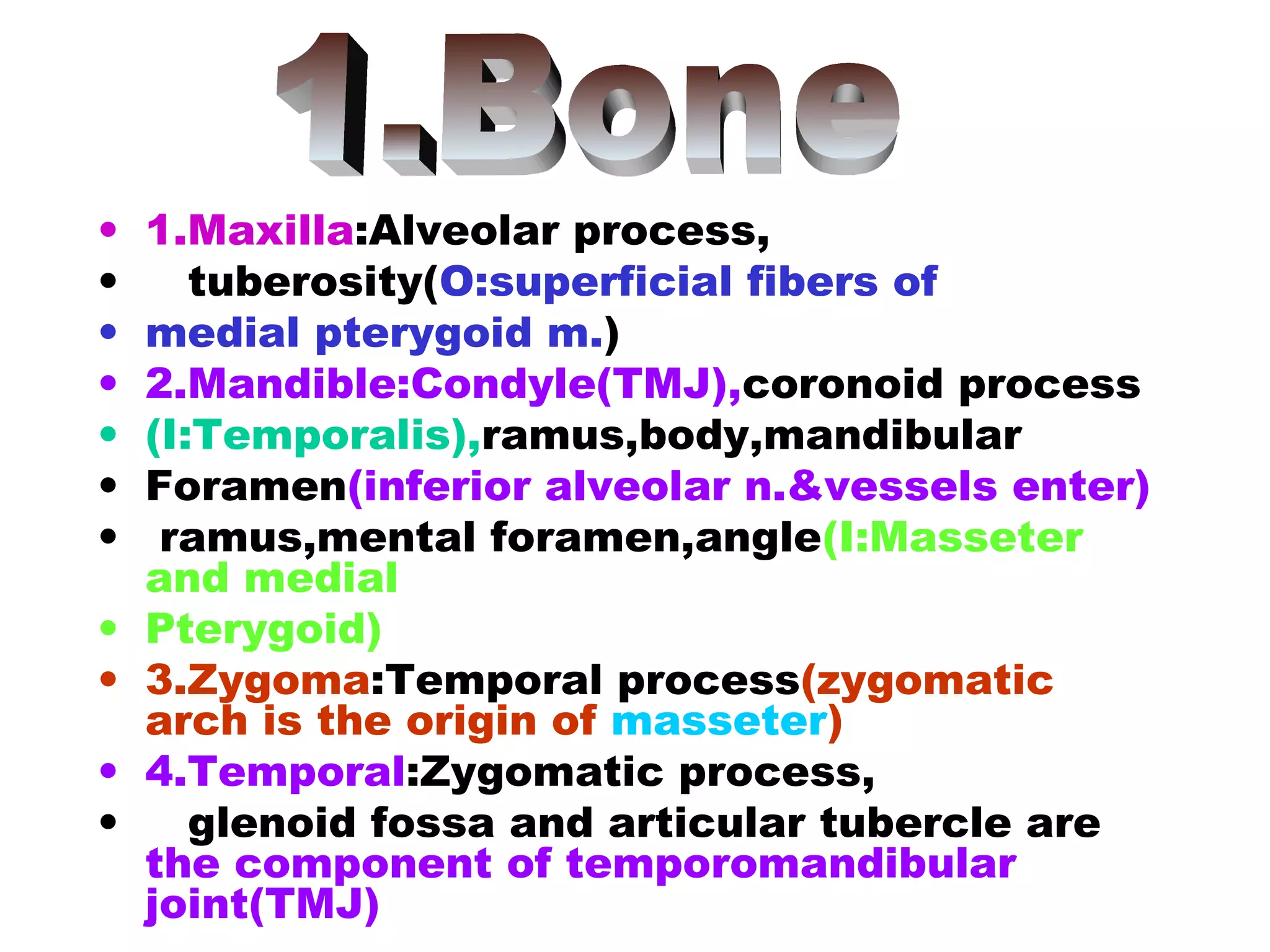Anatomy of Temporal dt | PPT