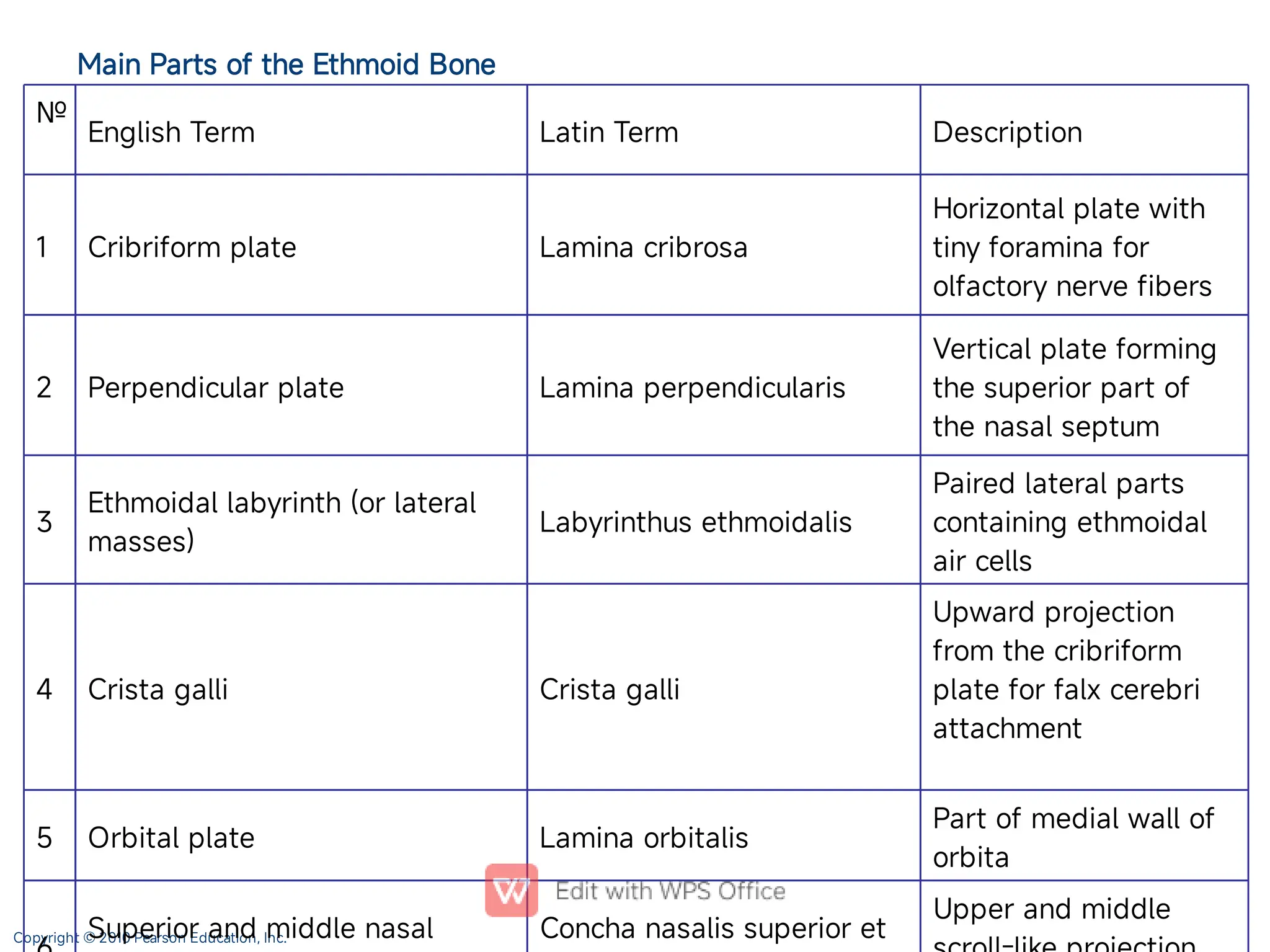 temporal ethmoid maxilla mandible by RMM.pdf
