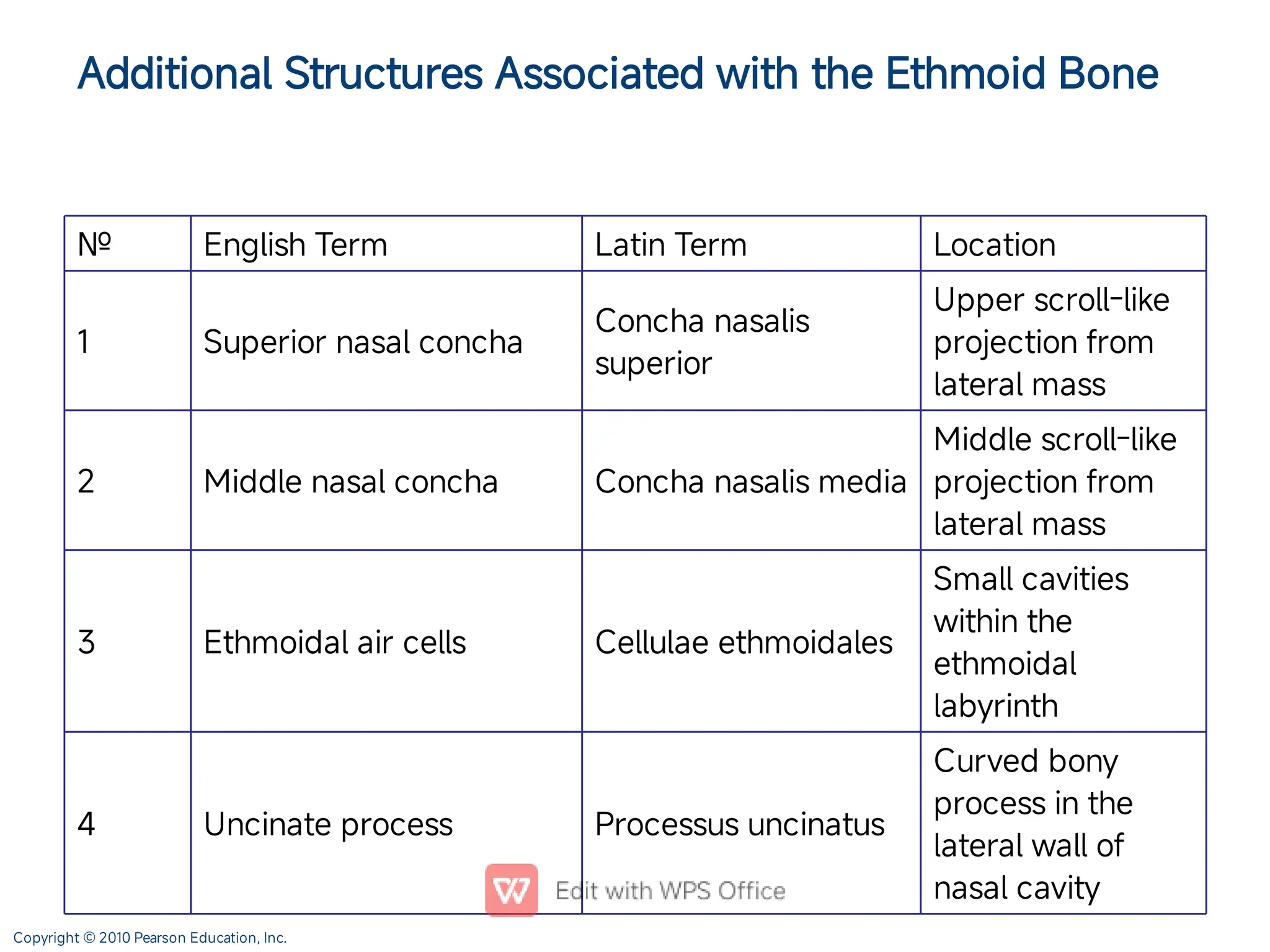 temporal ethmoid maxilla mandible by RMM.pdf