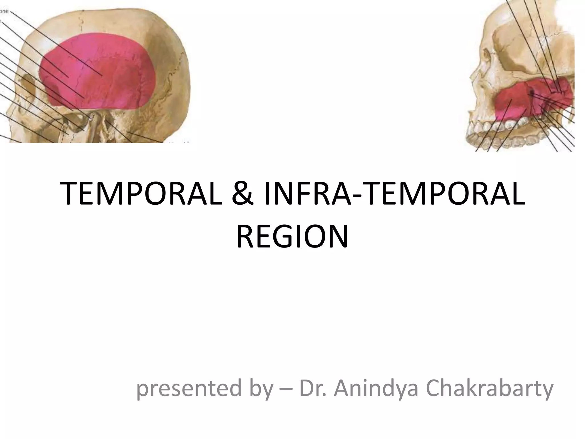 Temporal & infra temporal region | PPT