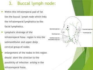 Anatomy of temporal & infratemporal fossa.pptx