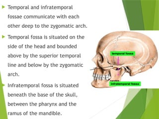 Anatomy of temporal & infratemporal fossa.pptx