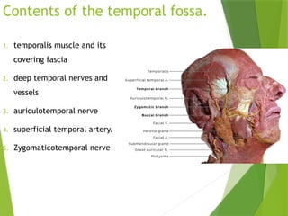 Anatomy of temporal & infratemporal fossa.pptx
