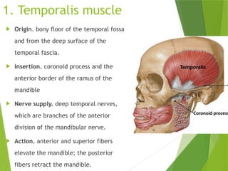 Anatomy of temporal & infratemporal fossa.pptx