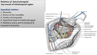 Temporal & Infratemporal Region -I | PPTX