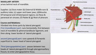 Temporal & Infratemporal Region -I | PPTX