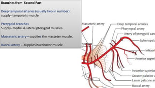 Temporal & Infratemporal Region -I | PPTX