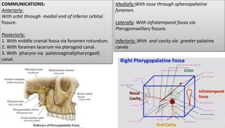 Temporal & Infratemporal Region -I | PPTX