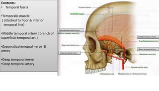 Temporal & Infratemporal Region -I | PPTX