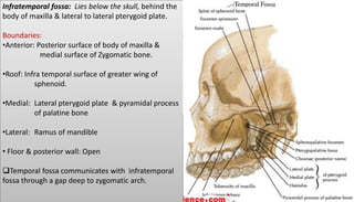 Temporal & Infratemporal Region -I | PPTX