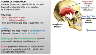 Temporal & Infratemporal Region -I | PPTX