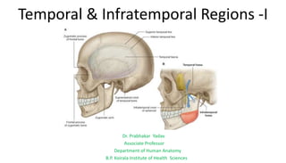 Infratemporal Region