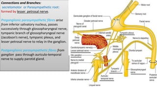 Temporal & infratemporal regions II | PPTX