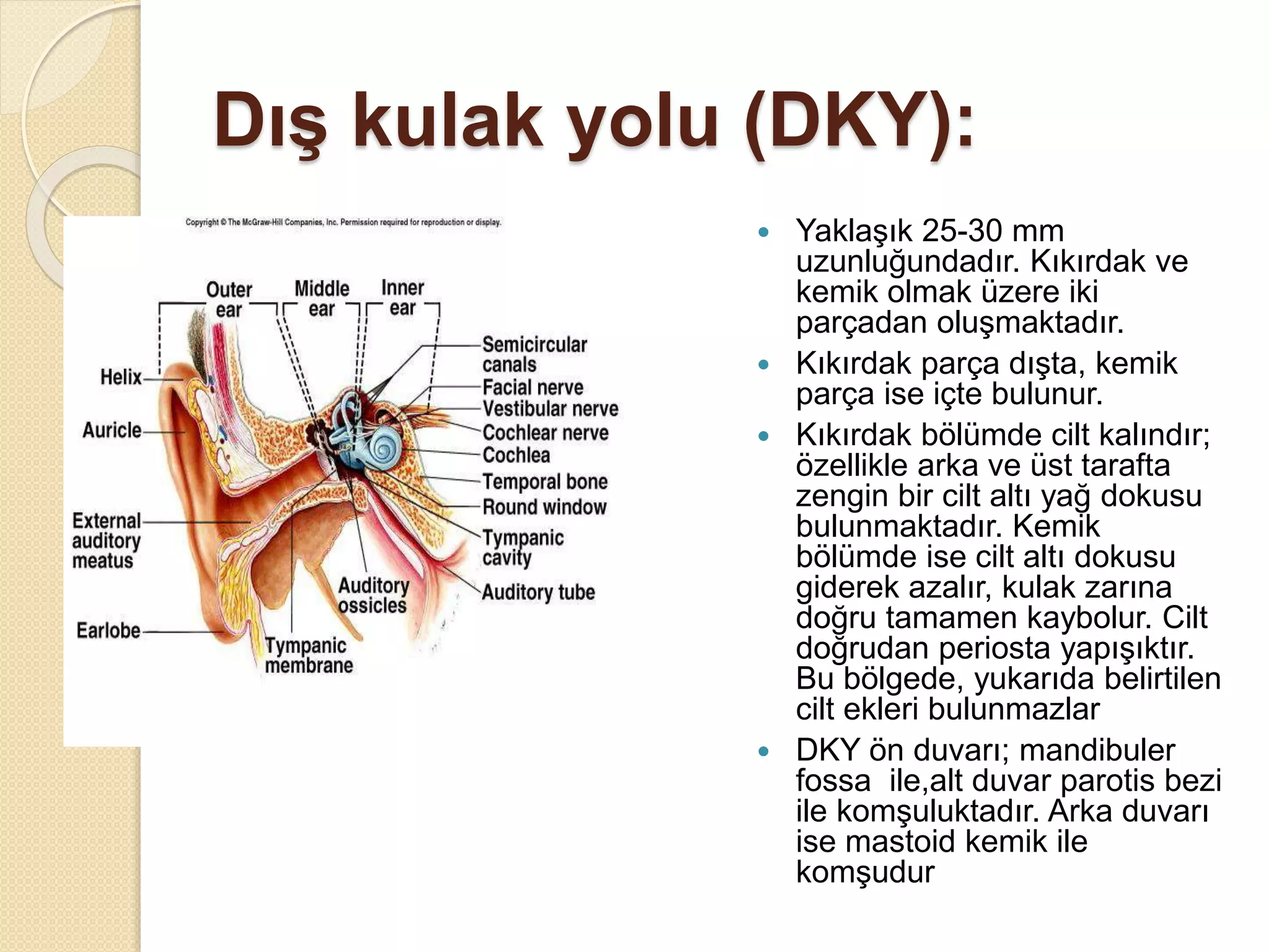 Temporal kemik anatomiisi işitme ve denge fizyolojiisi | PPTX